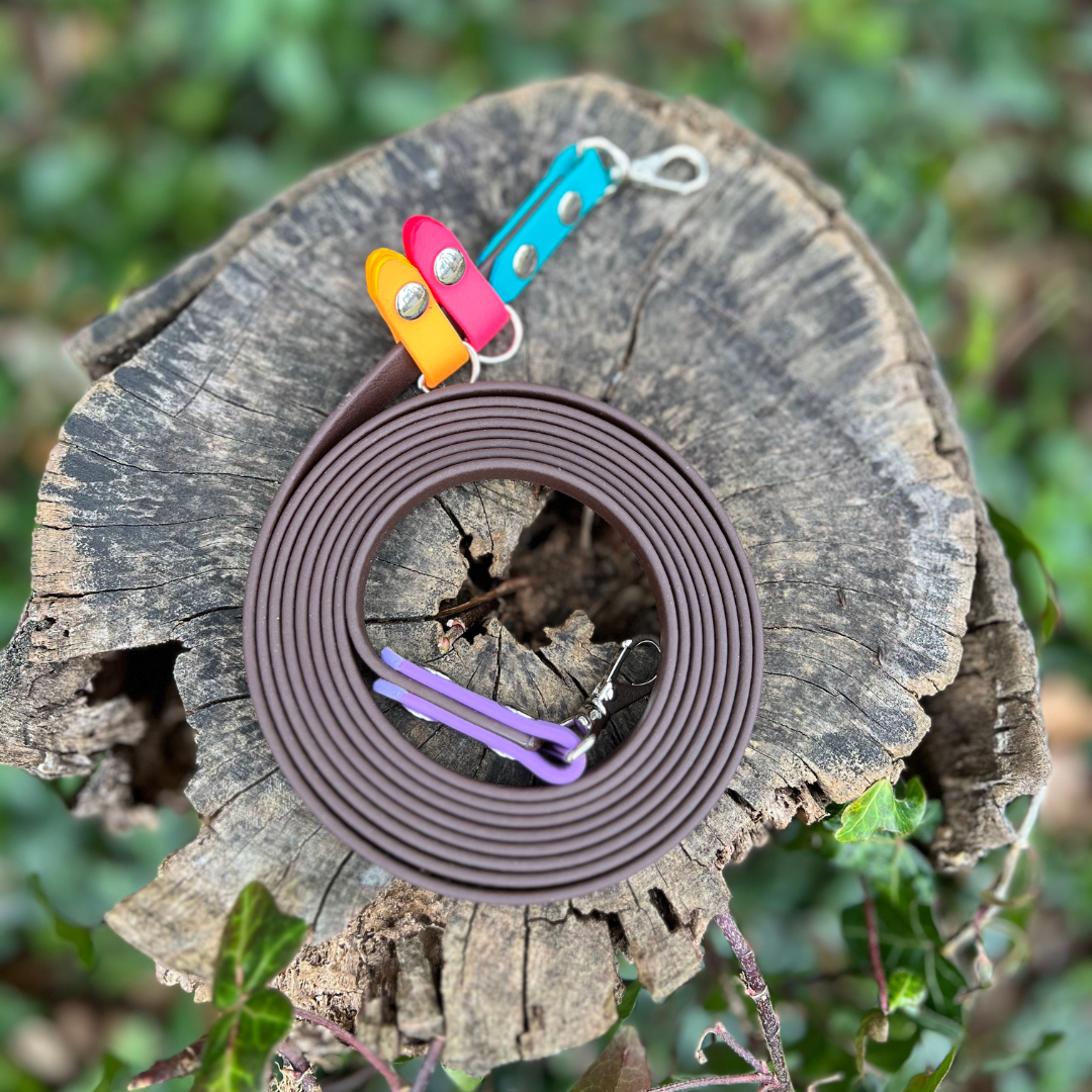 Kylo Collection – KittyCatGO