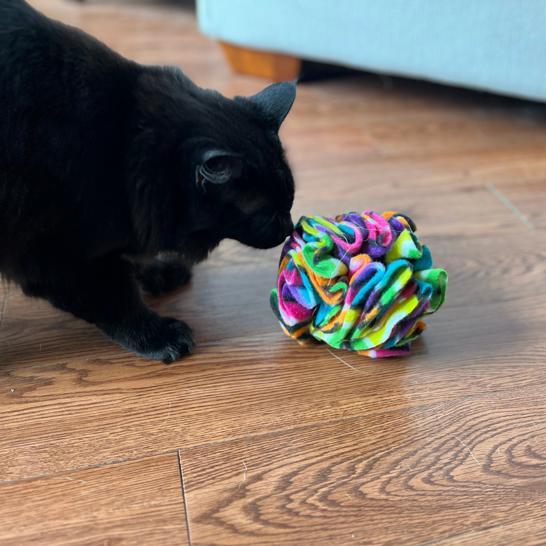 For Cats – KittyCatGO