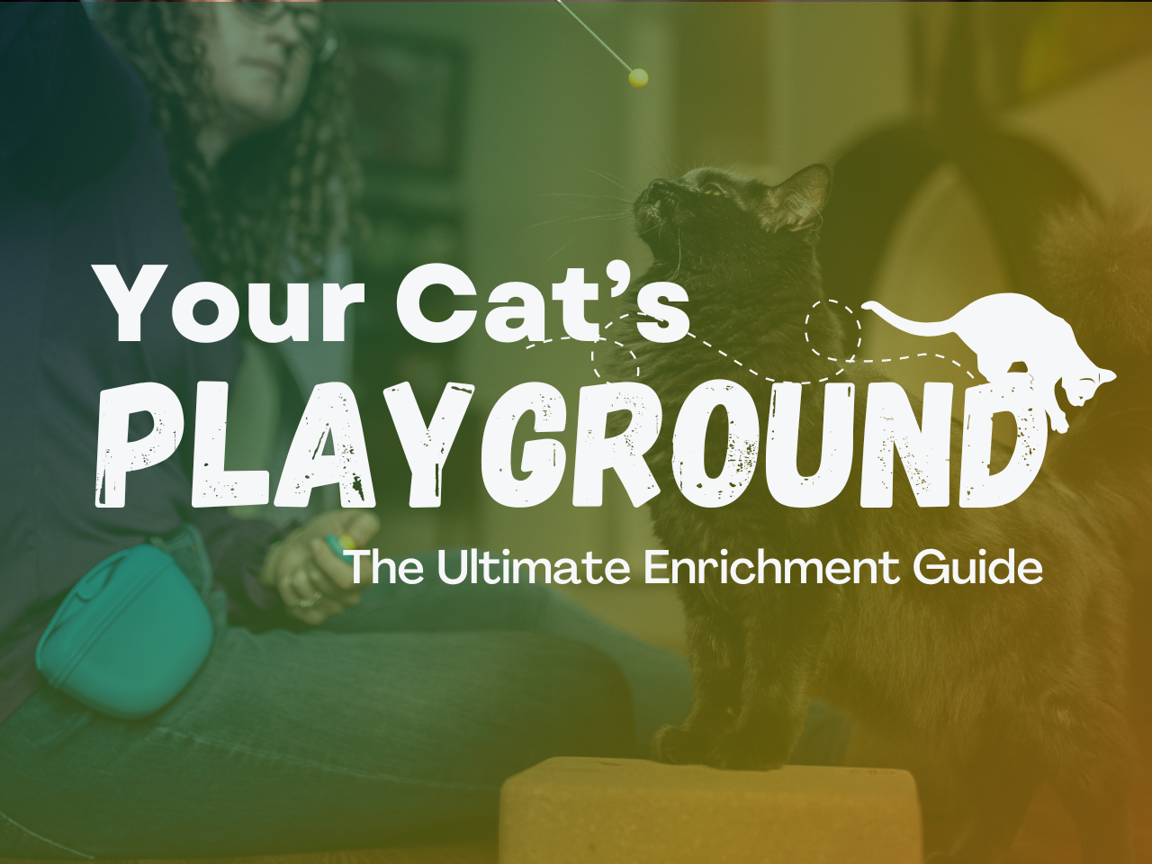 Cat Enrichment Guide – KittyCatGO